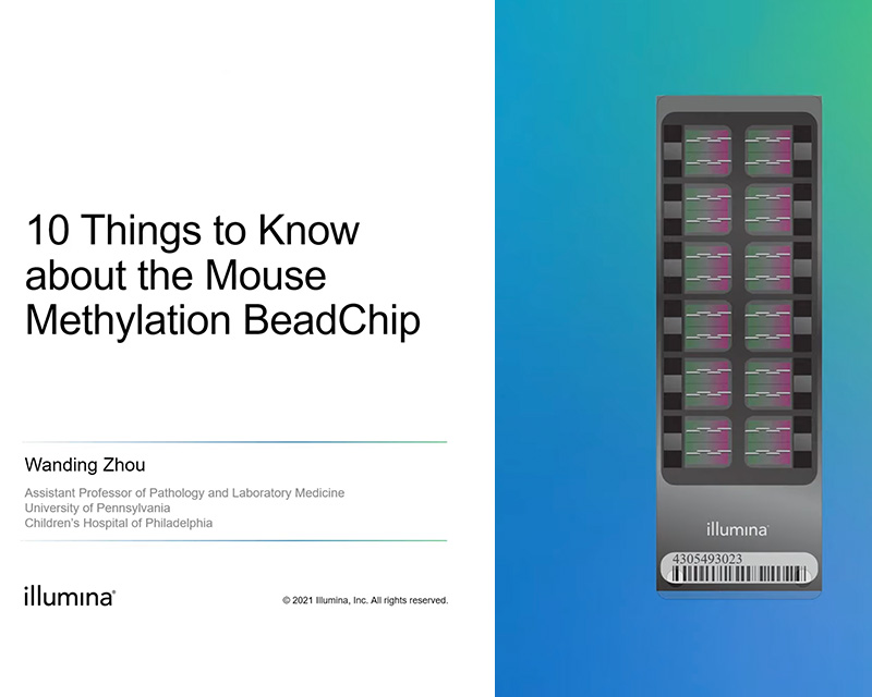 Infinium Mouse Methylation BeadChip Kit | 생쥐 후성유전학적 분석