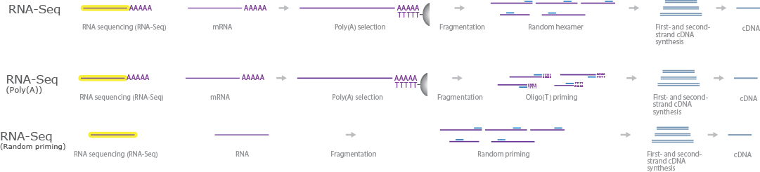 RNA-Seq