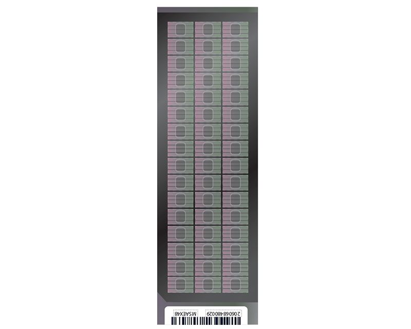 Infinium Methylation Screening Array-48|Scalable DNA methylation assay