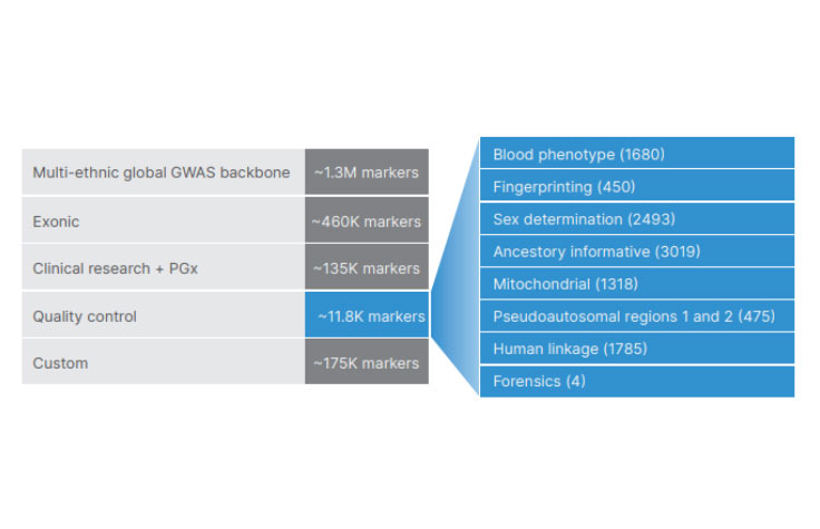 Infinium Global Diversity Array with Enhanced PGx | 유전형 분석 도구