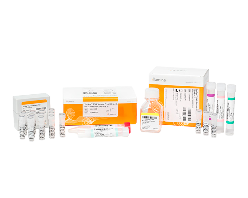Truseq Chip Library Preparation Kit 간단하고 비용 효과적인 Chip Seq
